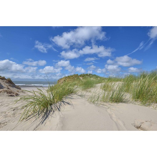 Fotowand duinen Ameland. Grote keuze fotobehang zee en strand