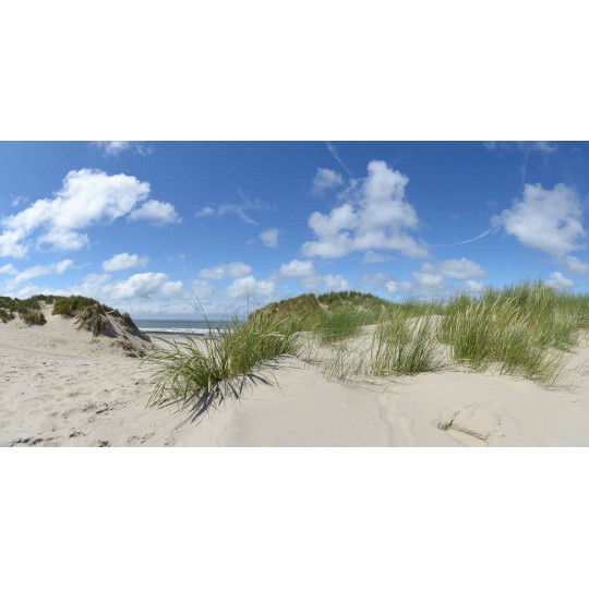 Fotowand duinen Ameland. Grote keuze fotobehang zee en strand